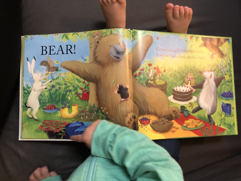 Bear Sees Colors for Speech Therapy - Speak. Play. Love.