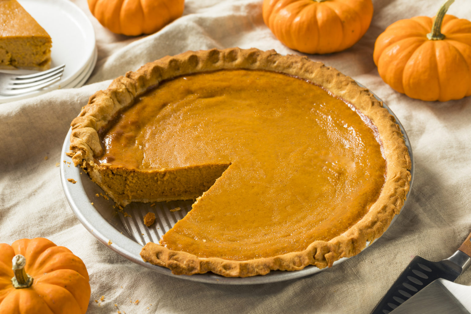 Thanksgiving Speech Therapy Activities - Speak. Play. Love